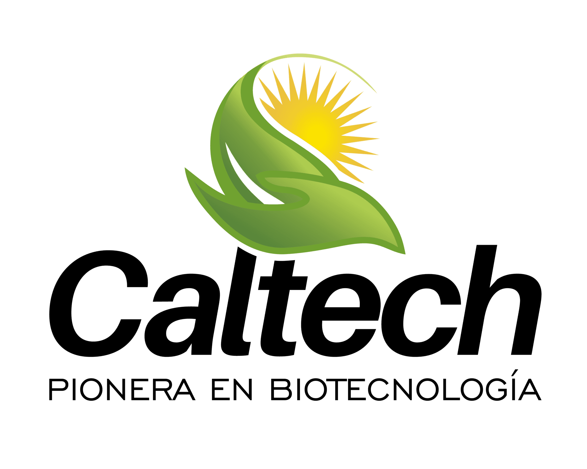 CALTECH S.A. - Bolsa de Valores de Asunción